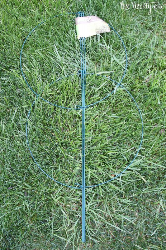 How to Support Peonies - Keep Peonies from Falling Down