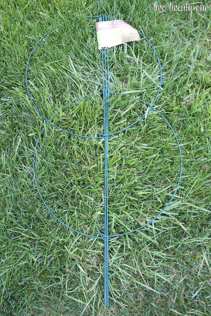 How to Support Peonies - Keep Peonies from Falling Down