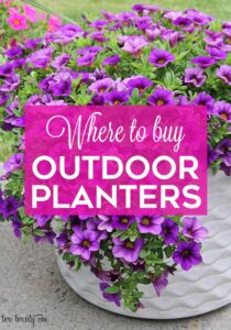 Where to Buy Outdoor Planters